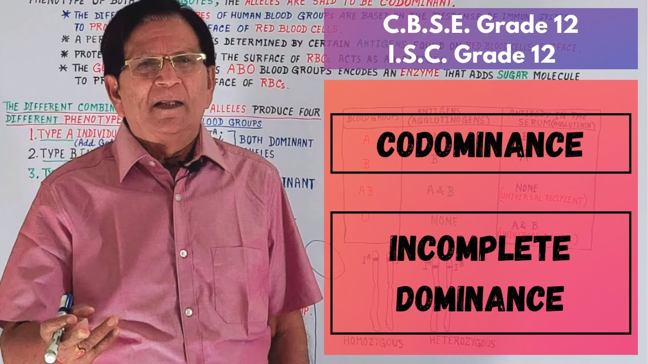 Codominance & Incomplete Dominance || Grade 12 Biology - YouTube