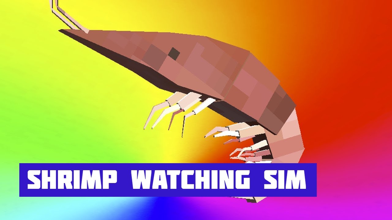 SHRIMP WATCHING SIMULATOR | GOTY 2024 - YouTube