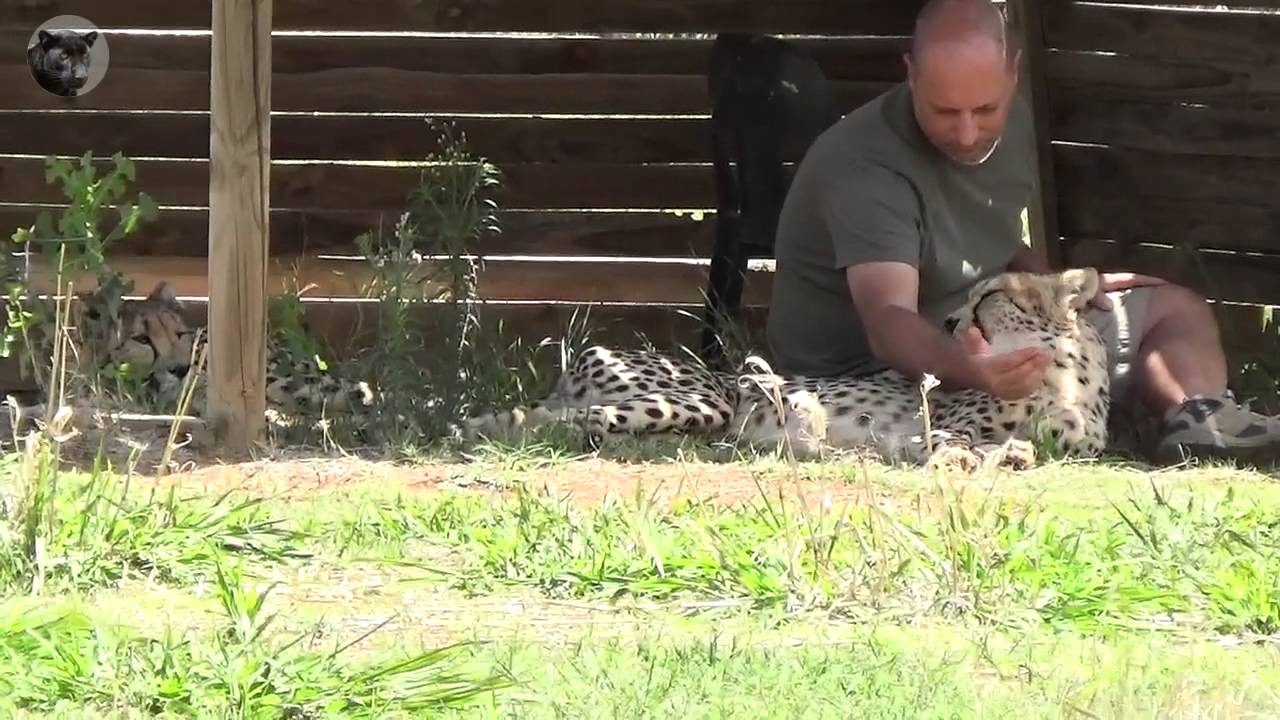 cheetah Eden, Faith and me - YouTube