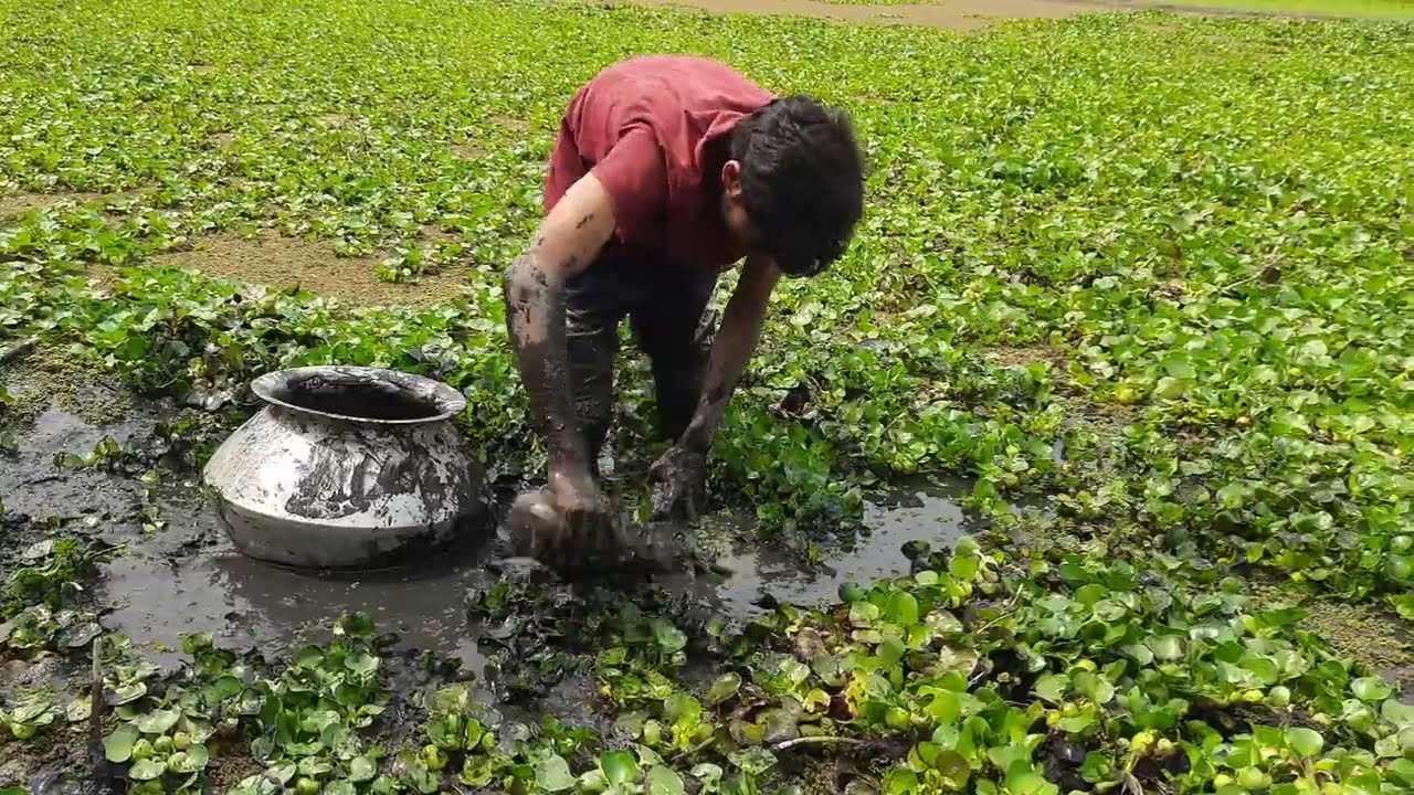 Amazing Hand Fishing Video 2023 Many Fish Catching By Hand Big Stuck ...