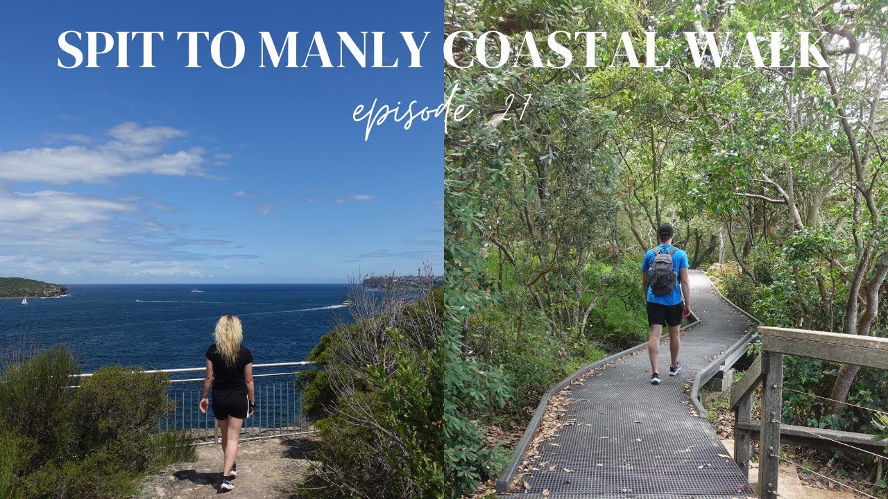 Spit to Manly Coastal Walk, Sydney | Australia - YouTube