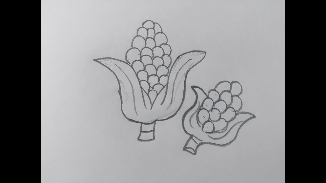 🌽 Easy Corn Drawing | Maize Sketch for Kids | drawing for kids 🌽 ...