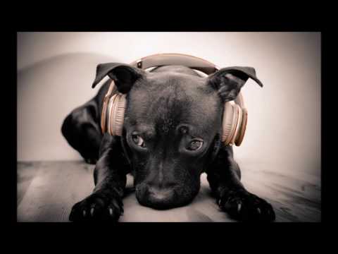 Iana feat  Alessandra   Aja Mara