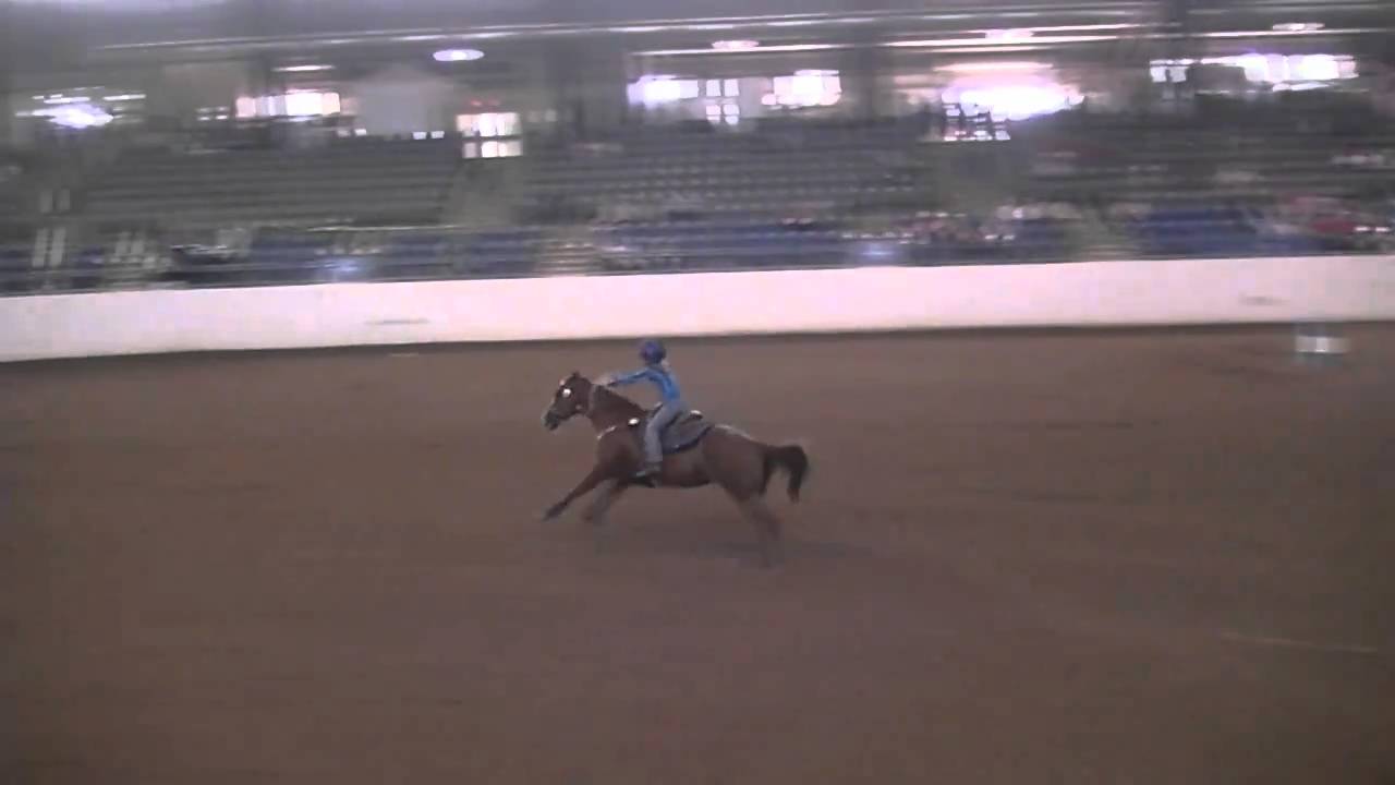 Regan & Daisy Colonial Nationals, Lexington,VA Open 2nd Go 08212010.avi ...