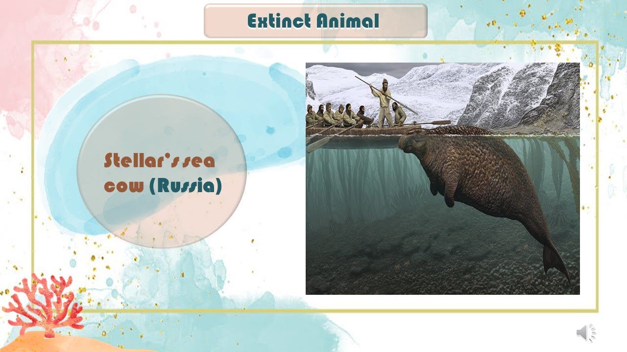 Std 12sc | Biology | Ch 15 Biodiversity | Loss of Biodiversity ...
