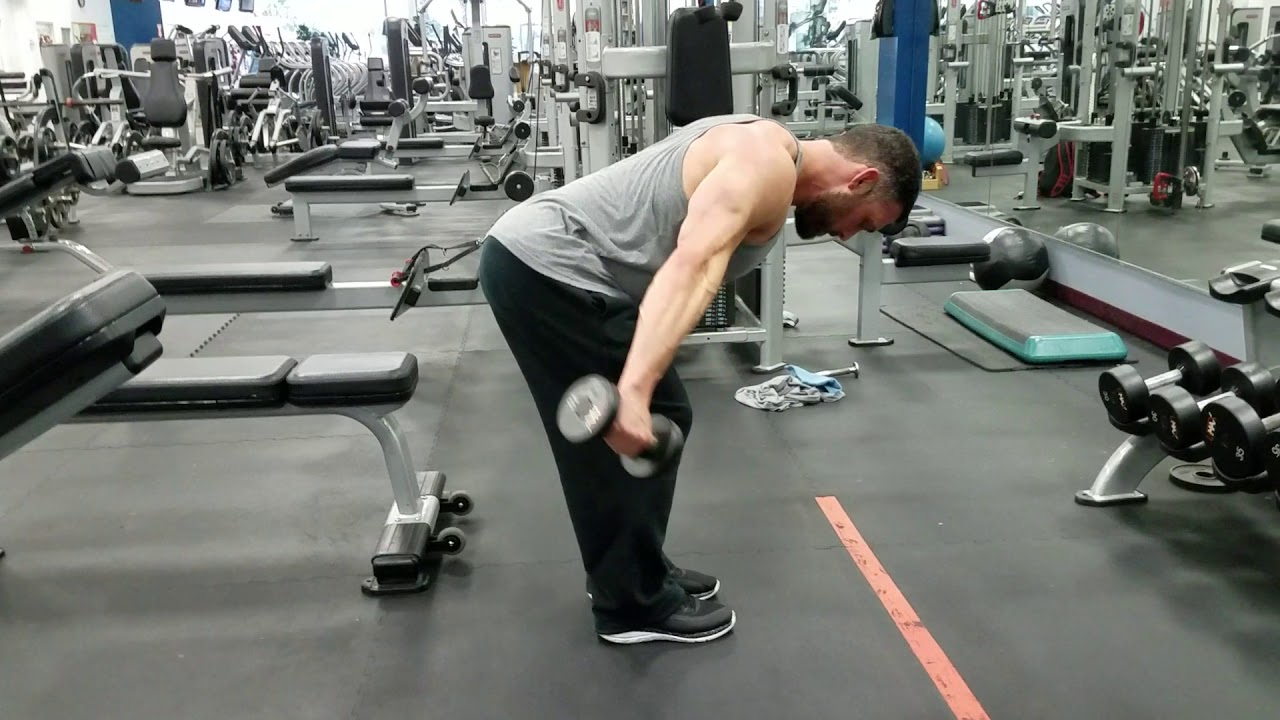 Rear Delt Row - YouTube