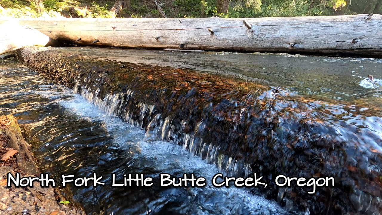 Peaceful Natural Water Sounds - North Fork Little Butte Creek, Oregon ...