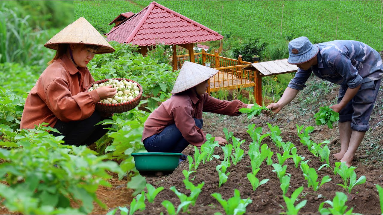 How we harvest, process and build agricultural gardens | Life off the ...