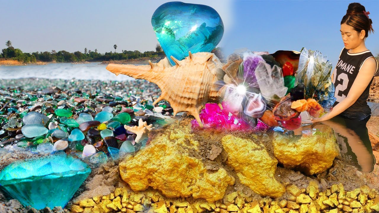 Gold pearl shell. Deep sea shells hit the shore by typhoons, gold ...