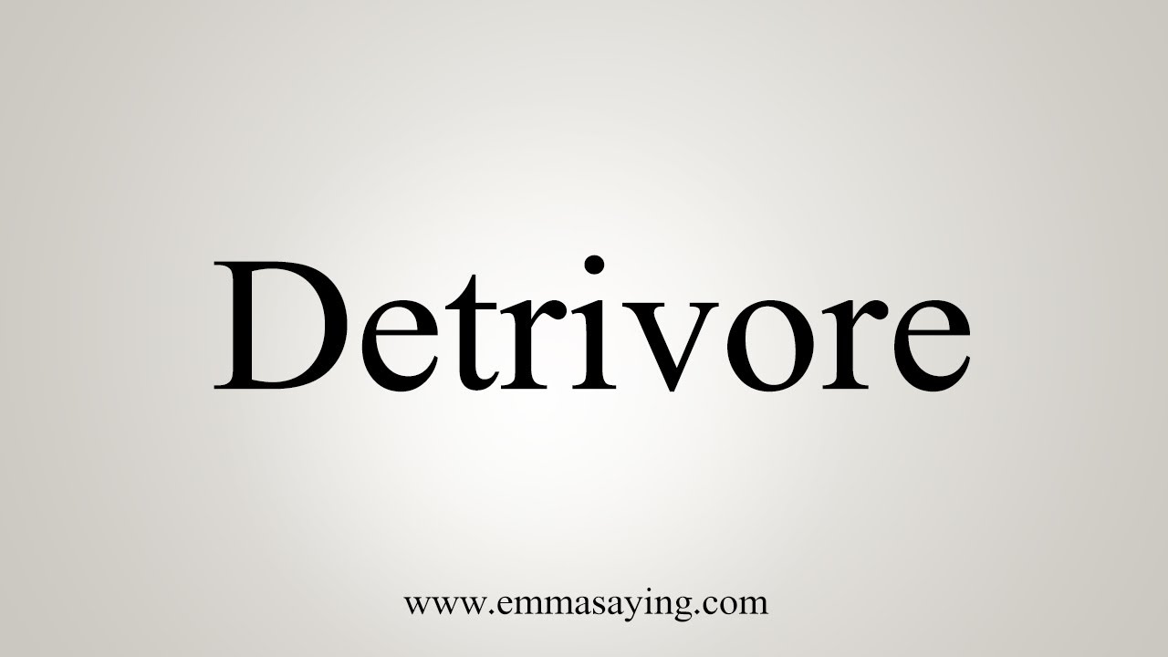 How To Say Detrivore - YouTube