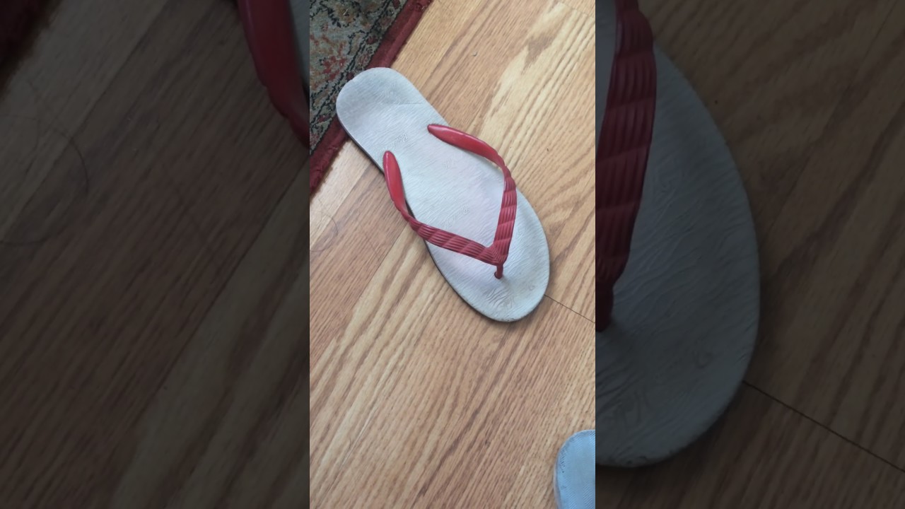Slapping a Slipper with a Slipper - YouTube