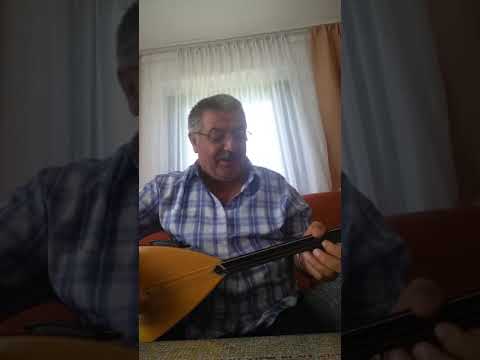 Başındaki pusular ilgi ilgi isilar