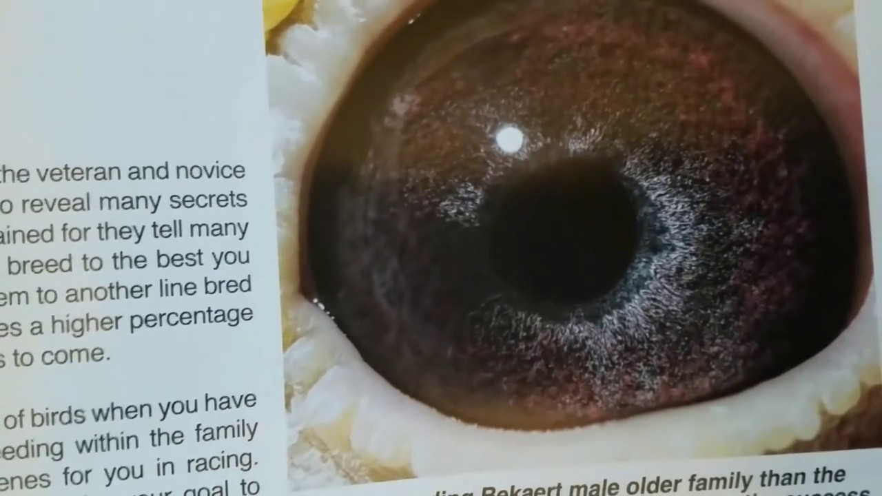 Mi posture en la teoria del ojo o el eye sign - YouTube