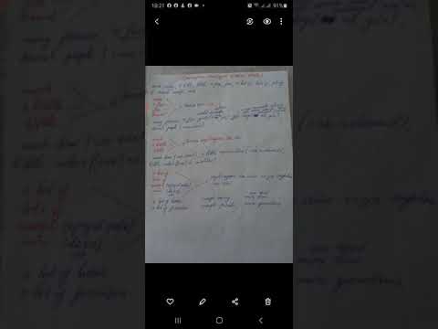 Quantifiers (Kəmiyyət bildirən sözlər)