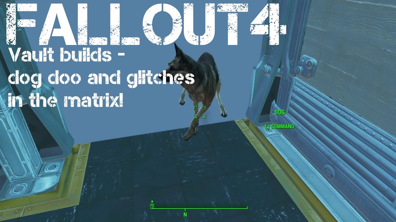 Fallout4 vault builds dog doo and glitches in the matrix - YouTube