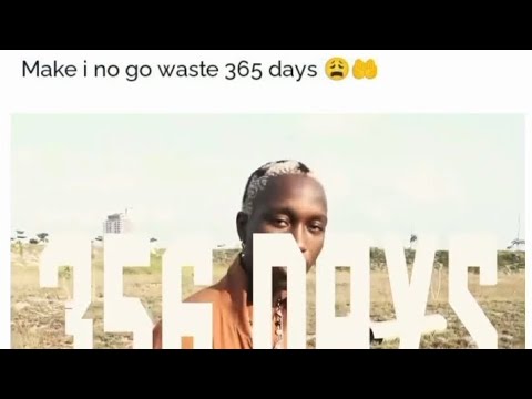 TML Vibez - 365 Days ( Music Video) - YouTube