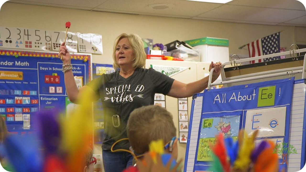 What do you do? Elementary Designed Instruction Teacher - YouTube