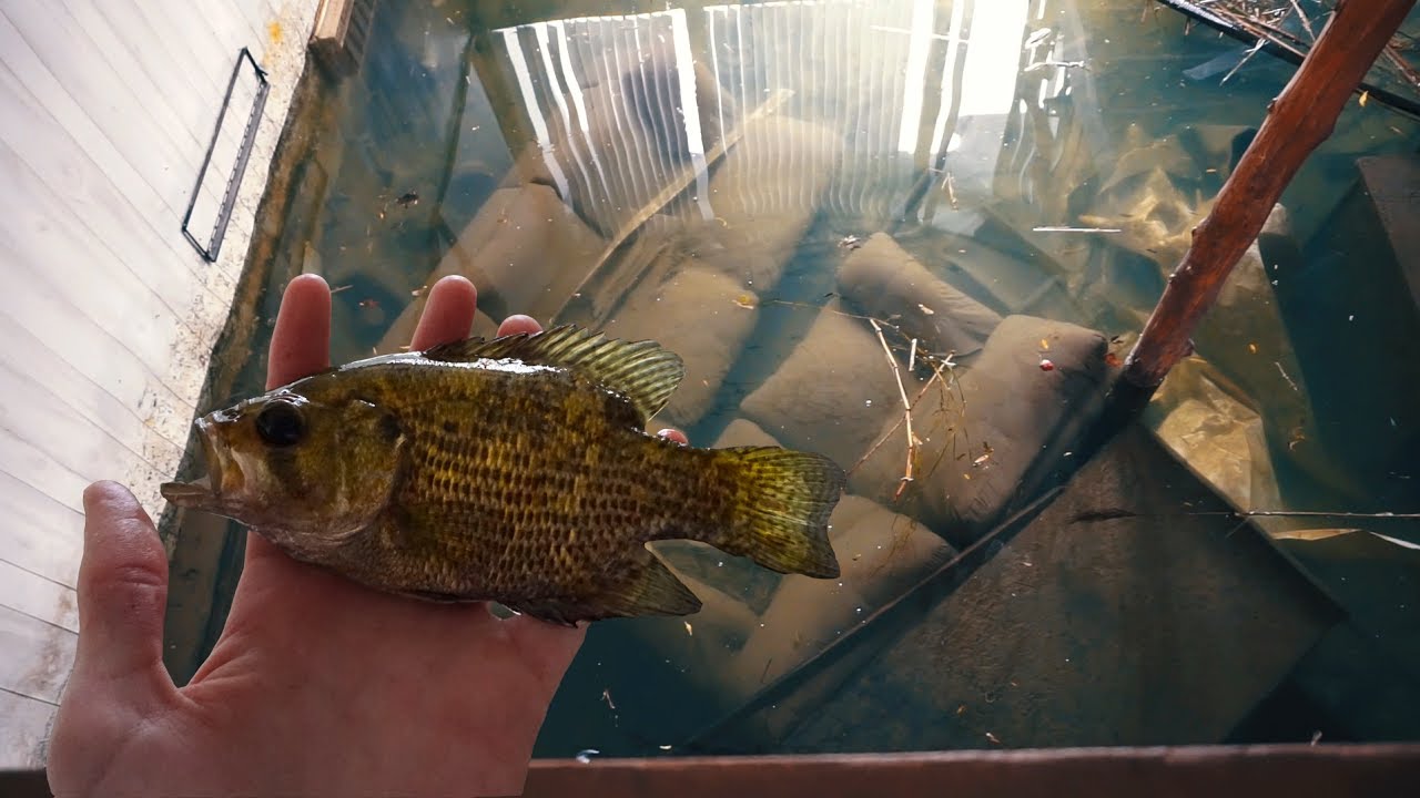 Fishing in house - YouTube