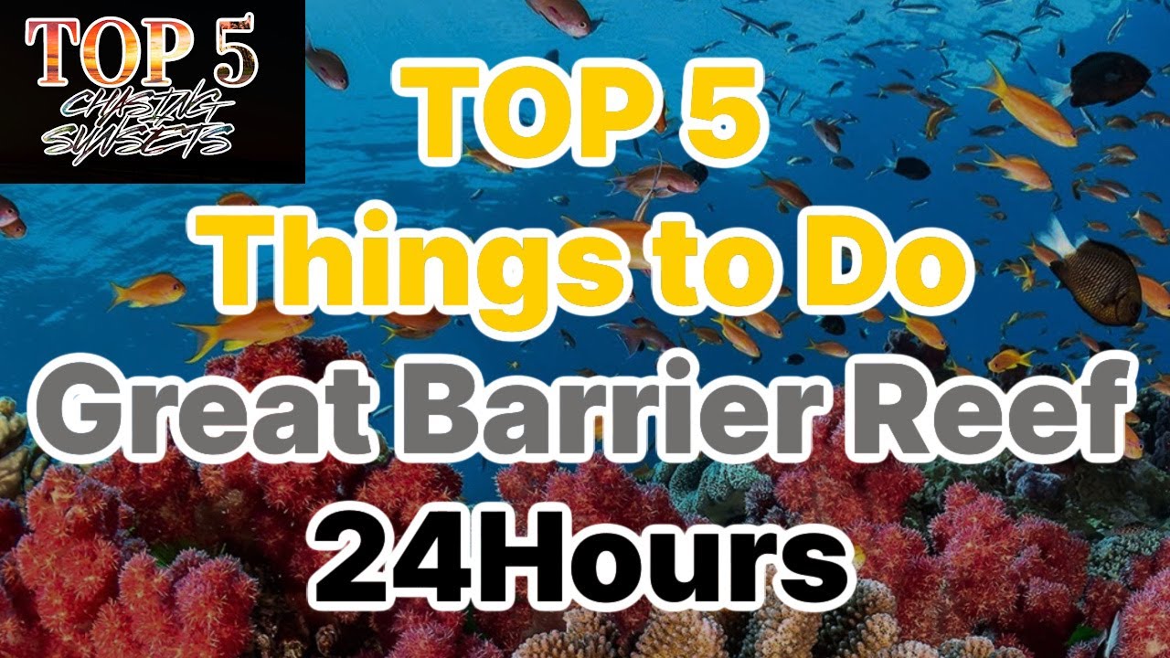 TOP 5 Things to do in THE GREAT BARRIER REEF in 24hrs - YouTube
