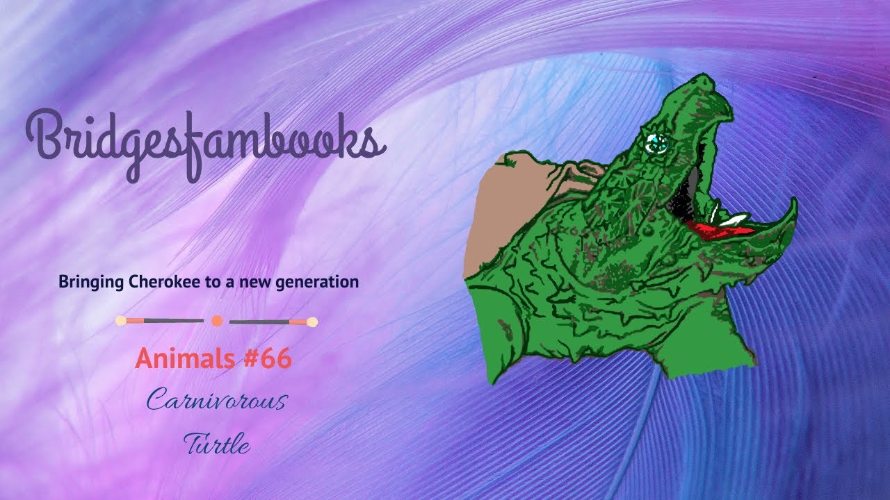 Learn carnivorous turtle in Cherokee - YouTube