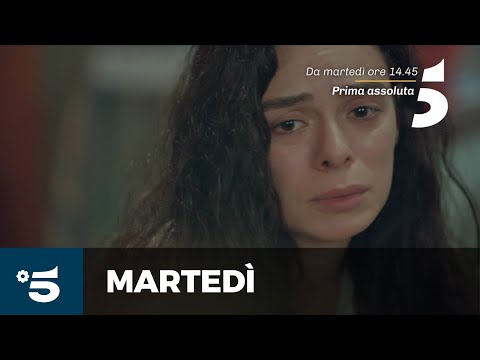 La forza di una donna - Da martedì 3 giugno, in prima assoluta su Canale 5