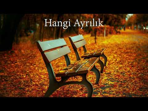 Hasan Çevik  - Hangi Ayrılık (Yusuf Hayaloğlu)