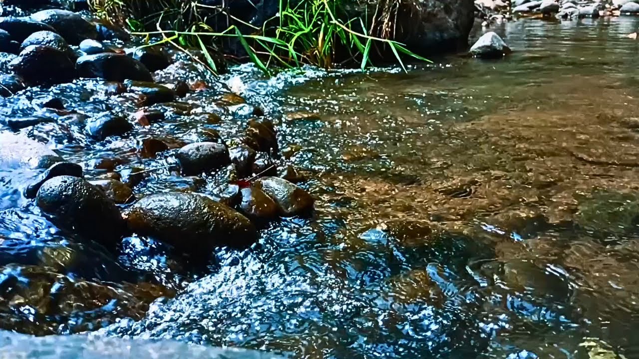 Gentle Trickling Stream – Tranquil Water Sounds for Meditation ...