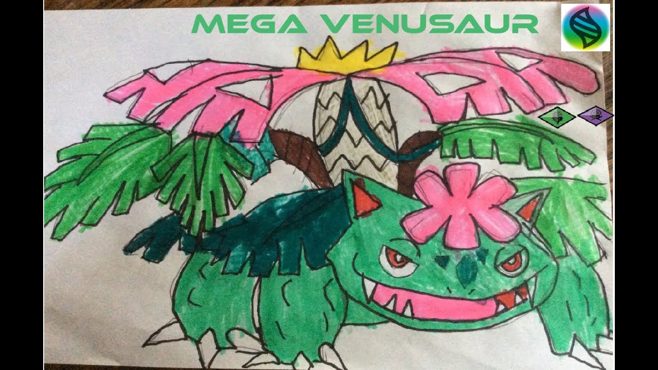 2022 how to draw mega venusaur # my favorite - YouTube