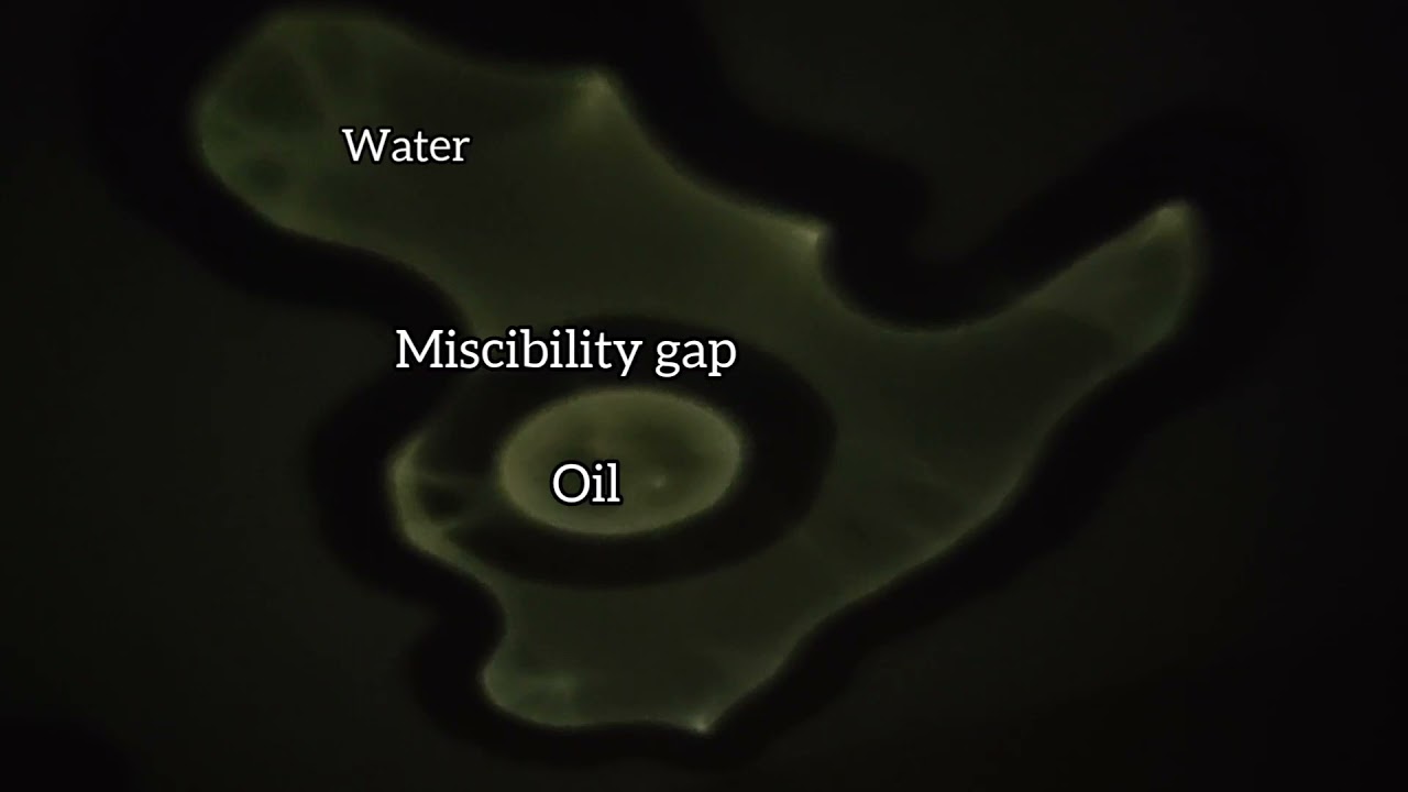 Water, oil and detergent: Formation and dissolution of miscibility gap ...