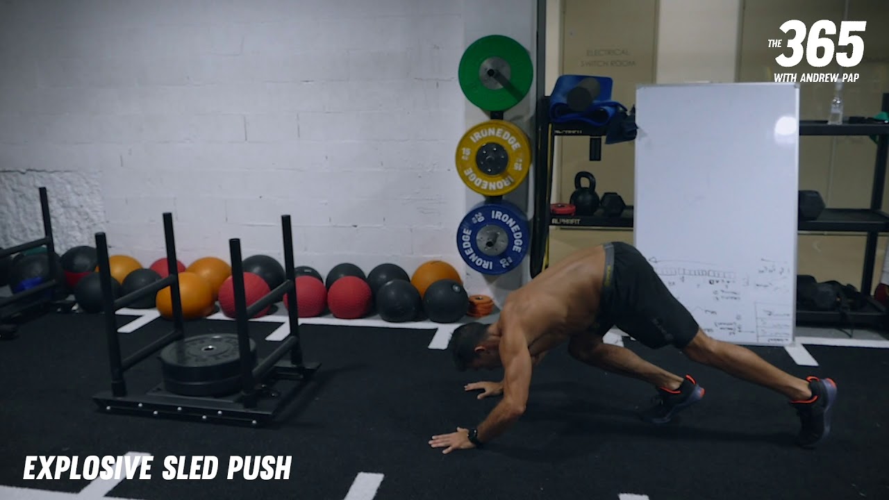 Andrew Pap's 365 Exercise Library - Explosive Sled Push - YouTube