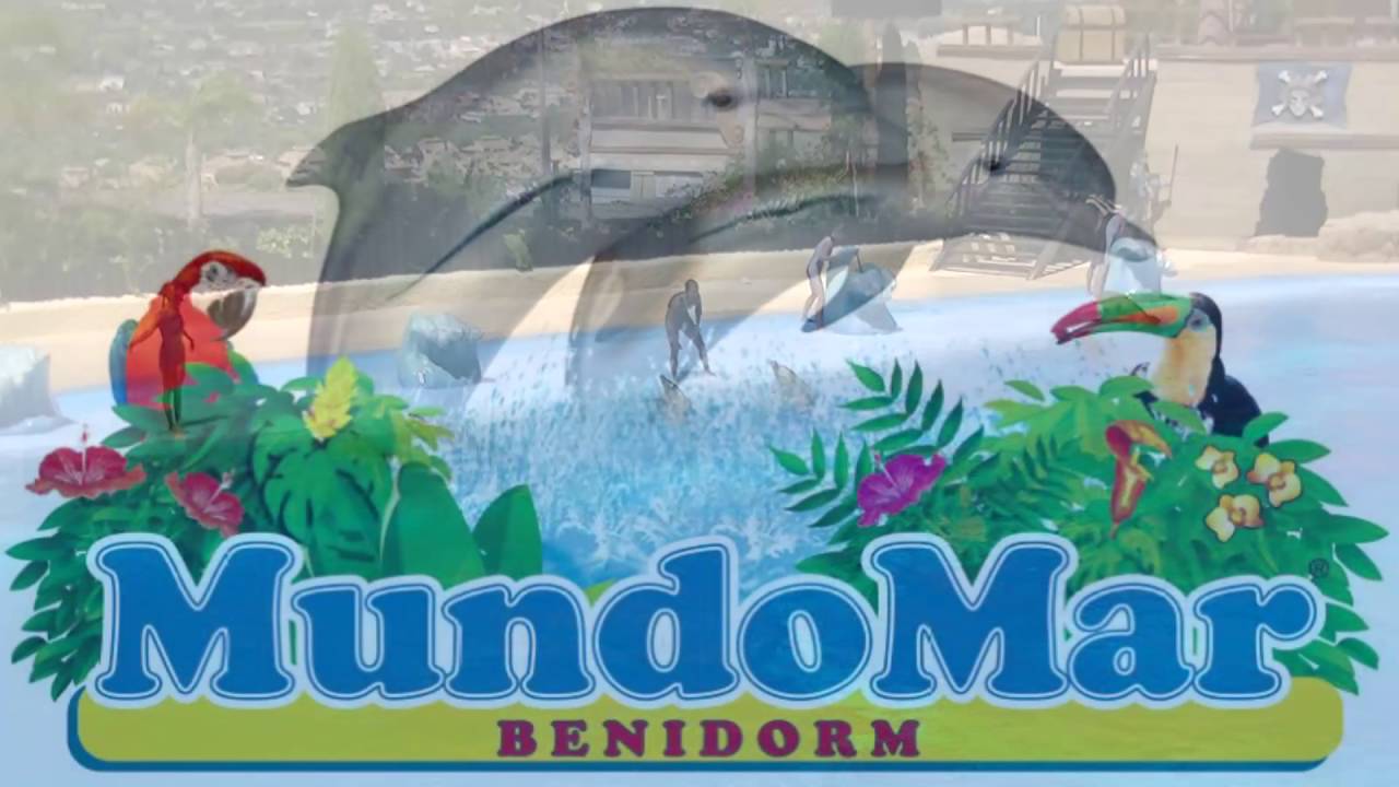 Show Mundomar Benidorm (August 2016) - YouTube