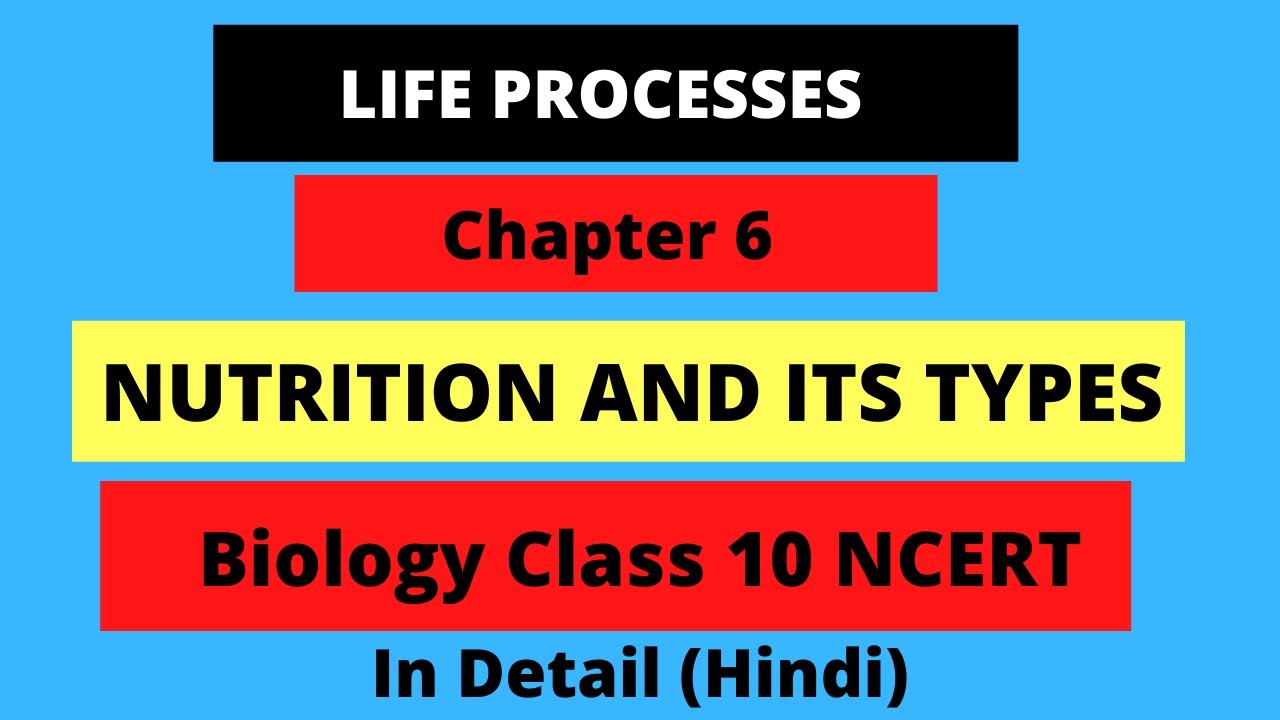 Nutrition Life Process Cbse Class 10 Science Biology Chapter 6