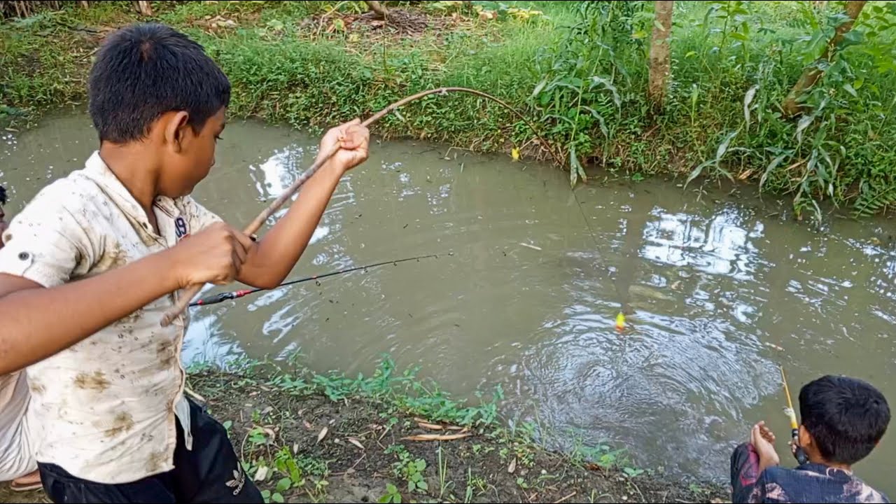 Real Hook Fishing In Village Canal.Village Life Fishing Video ...