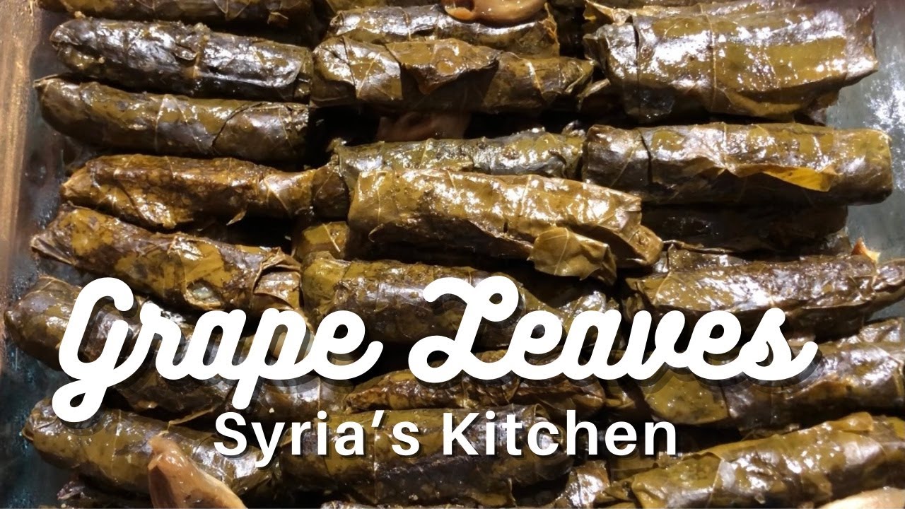 Delicious Grape Leaves | Syria's Kitchen - YouTube