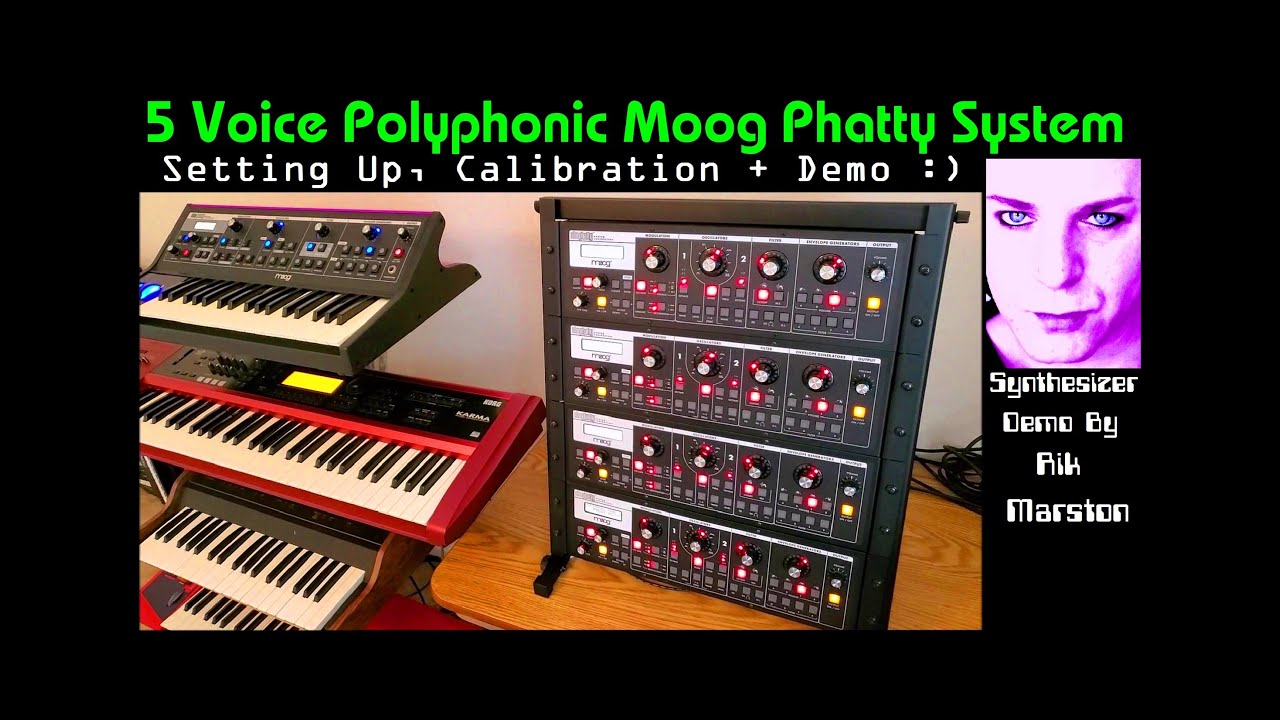 Setting Up 5 Voice Polyphonic Moog Phatty System Analog Synthesizer Rik ...