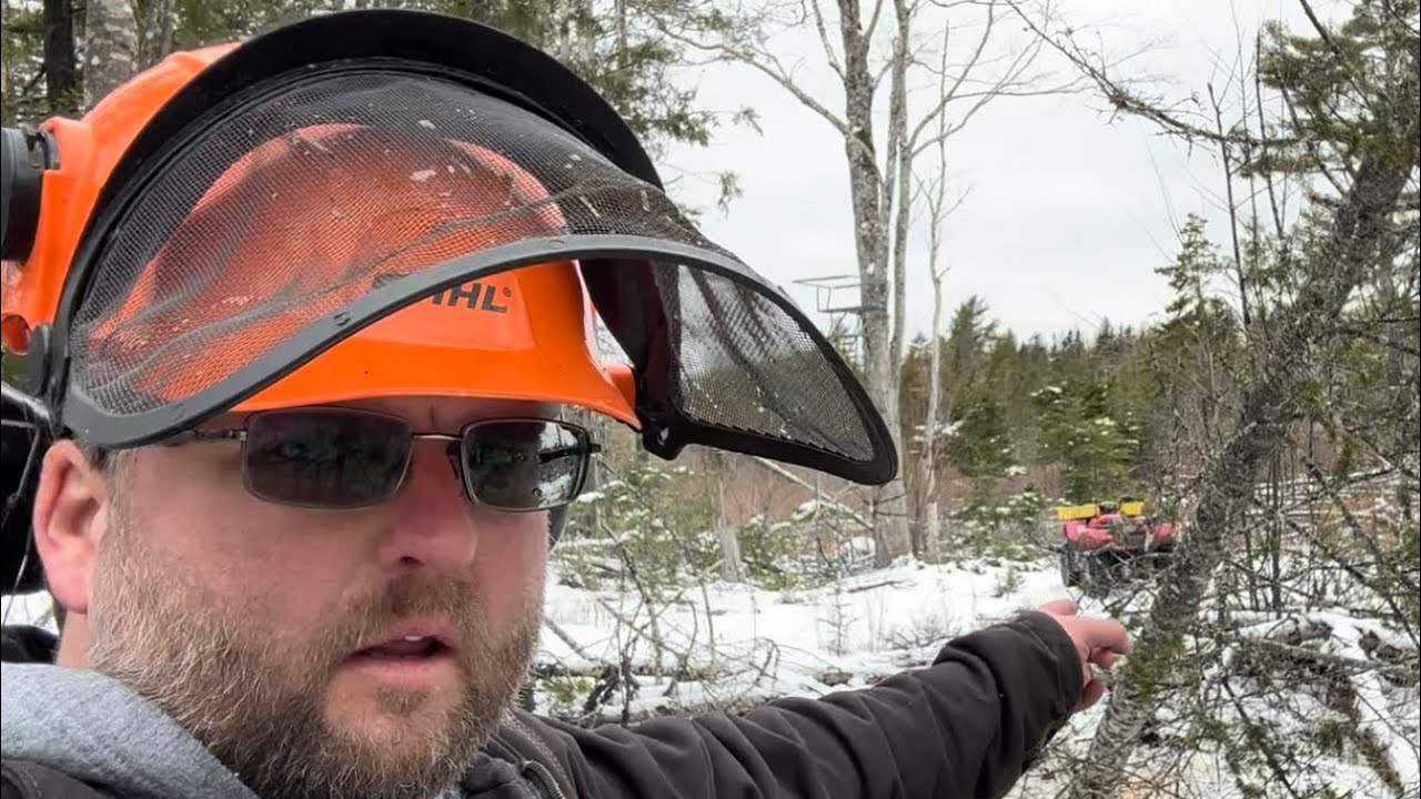 DIY DEER HABITAT IMPROVEMENTS! Build a Buck Trap - YouTube