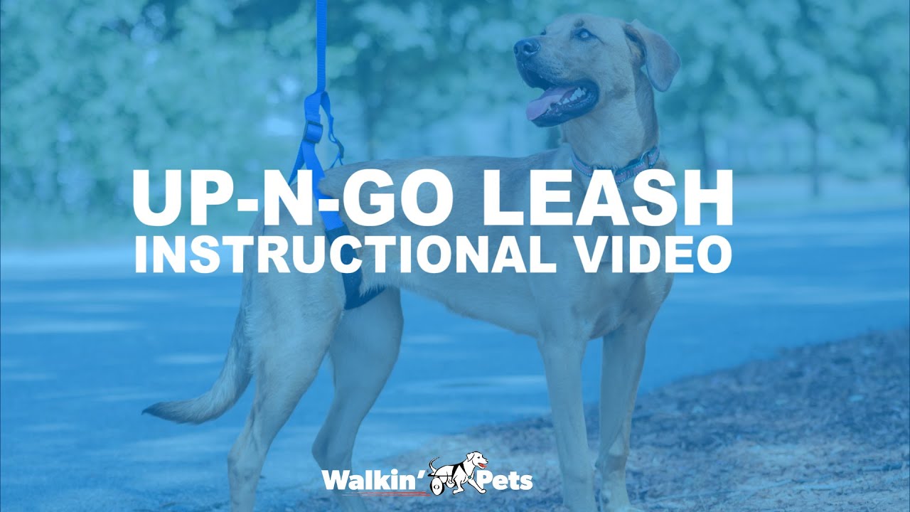 Walkin' Up-N-Go Leash For Pets - Instructional Video - YouTube