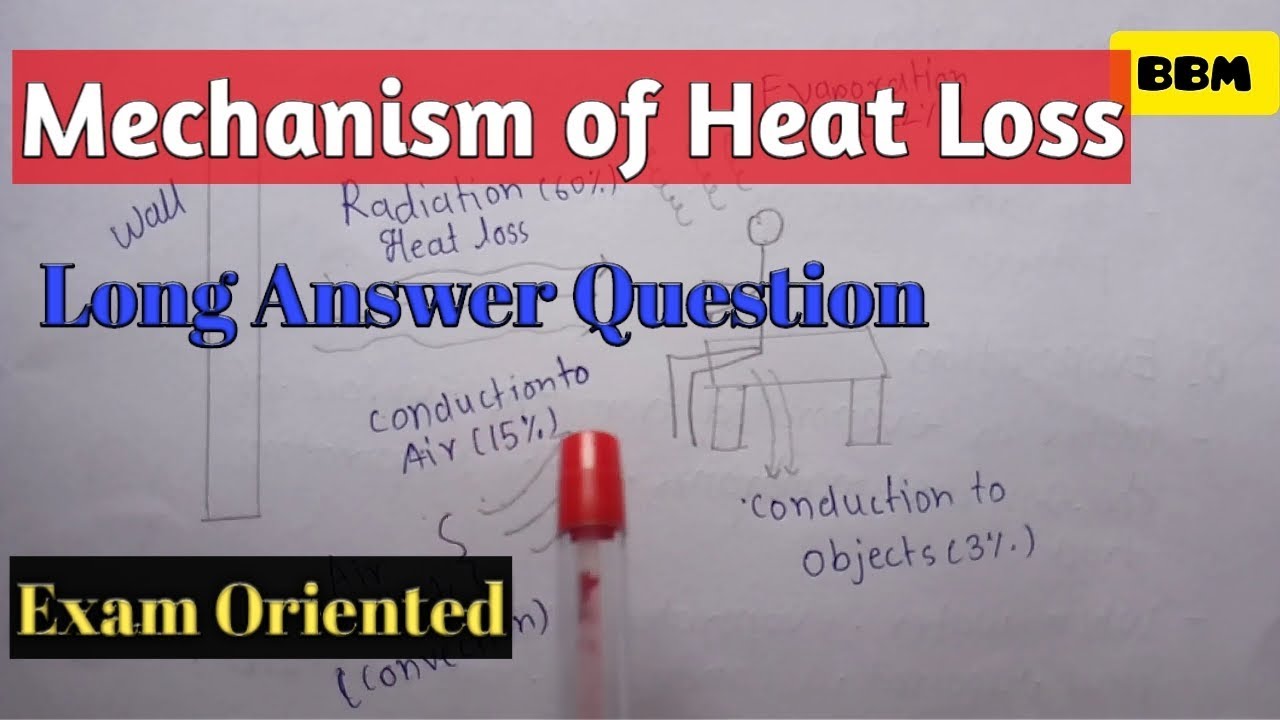 Mechanisms of heat loss | regulation of body temperature | physiology ...