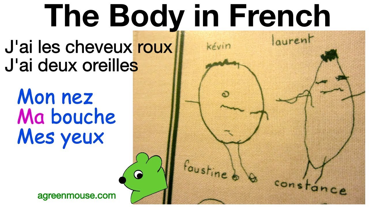 Parts Of The Body In French Le Corps YouTube parts-of-the-body-in-french-le-corps-youtube