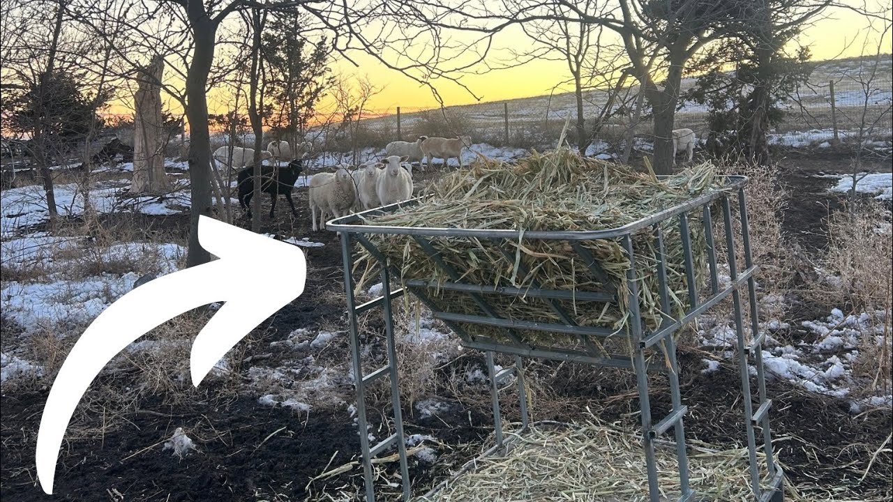 Hay Feeder Build for my Sheep - YouTube