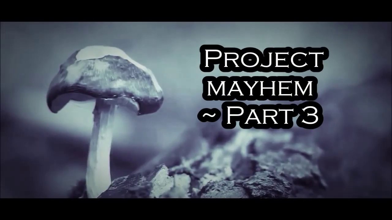 Project Mayhem ~ Part 3 - YouTube
