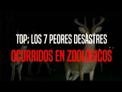 Top: Los 7 Peores Desastres De La Historia Ocurridos En Zoológicos