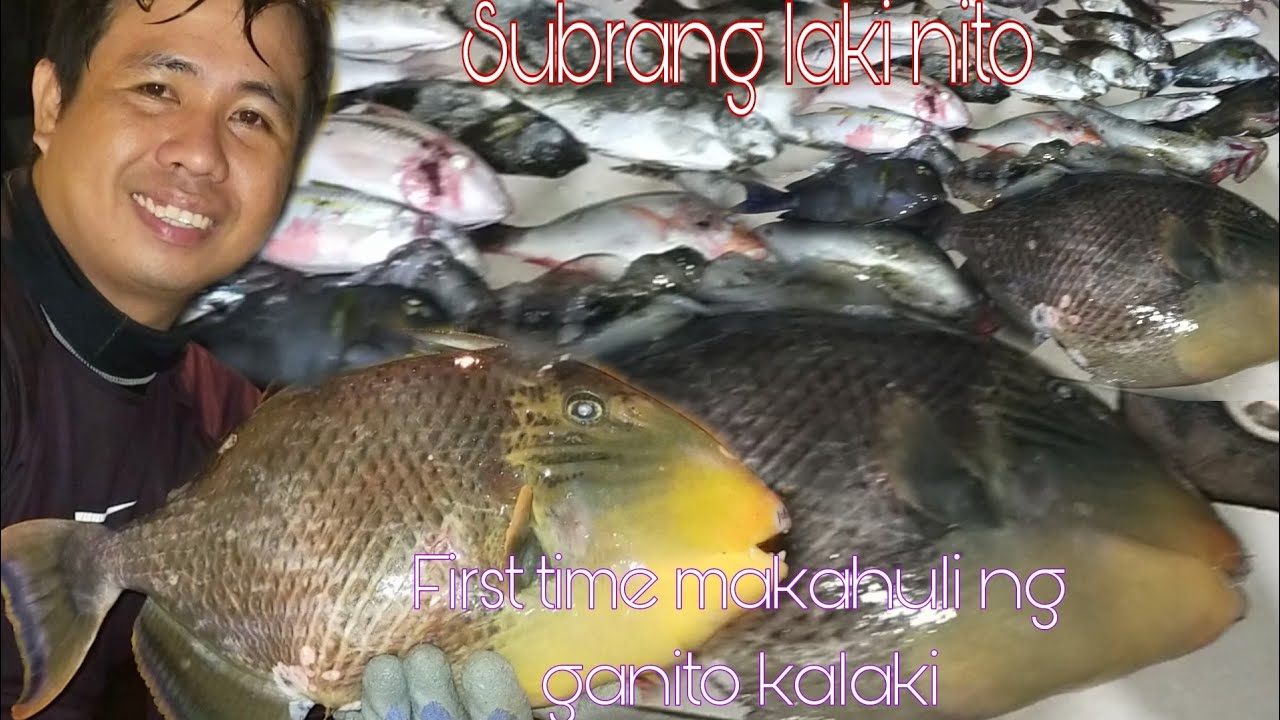 Night Spearfishing / Super laki ng pakol or trigger fish - YouTube