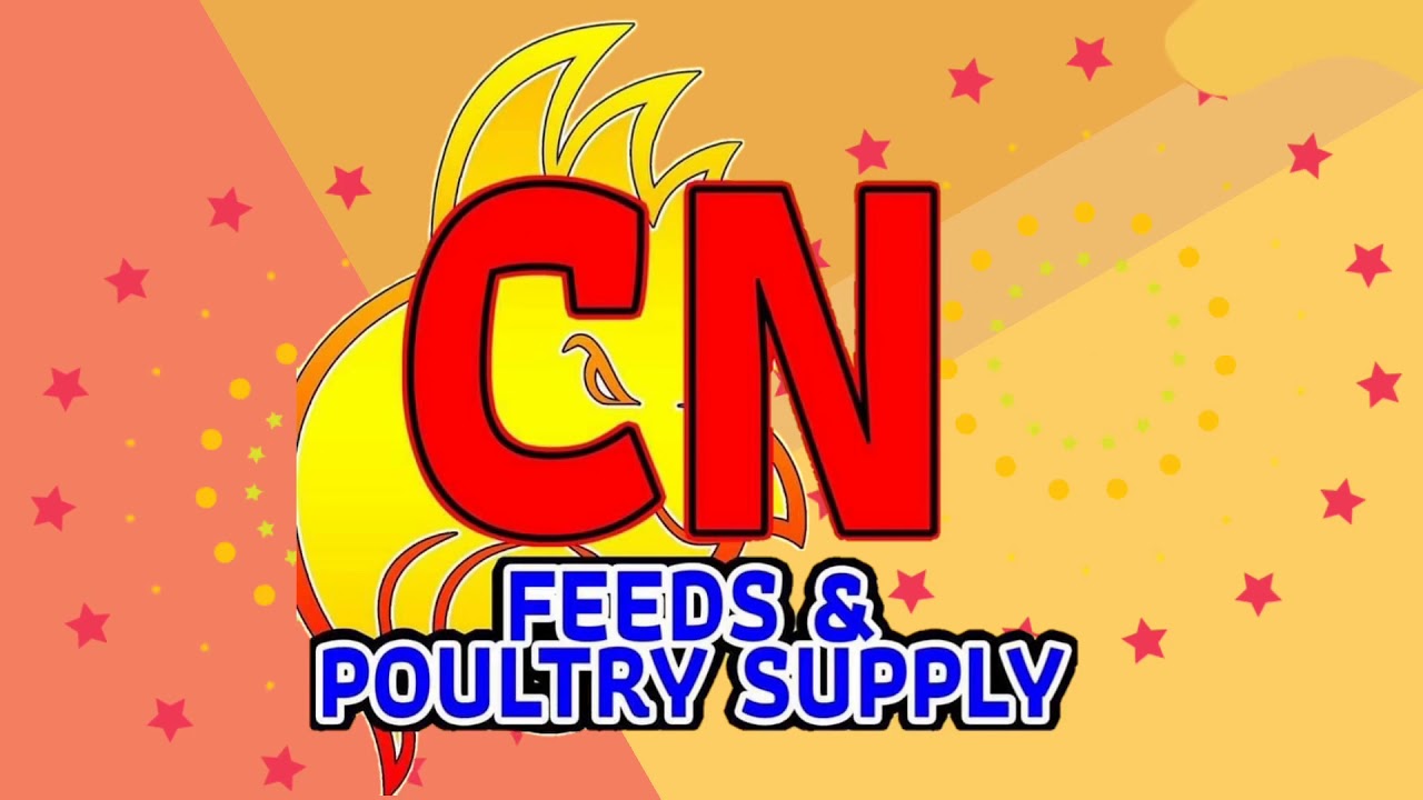 CN feeds and Poultry Supply Shop Video #Vlog1 - YouTube