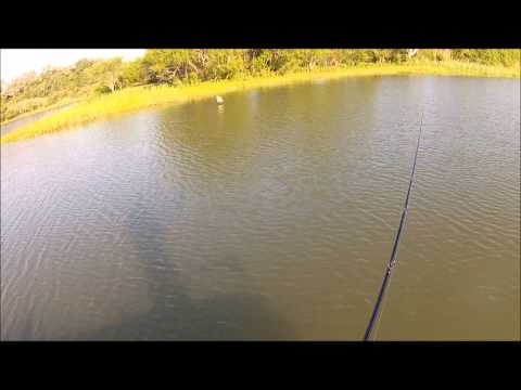 Strike King Anaconda Fishing