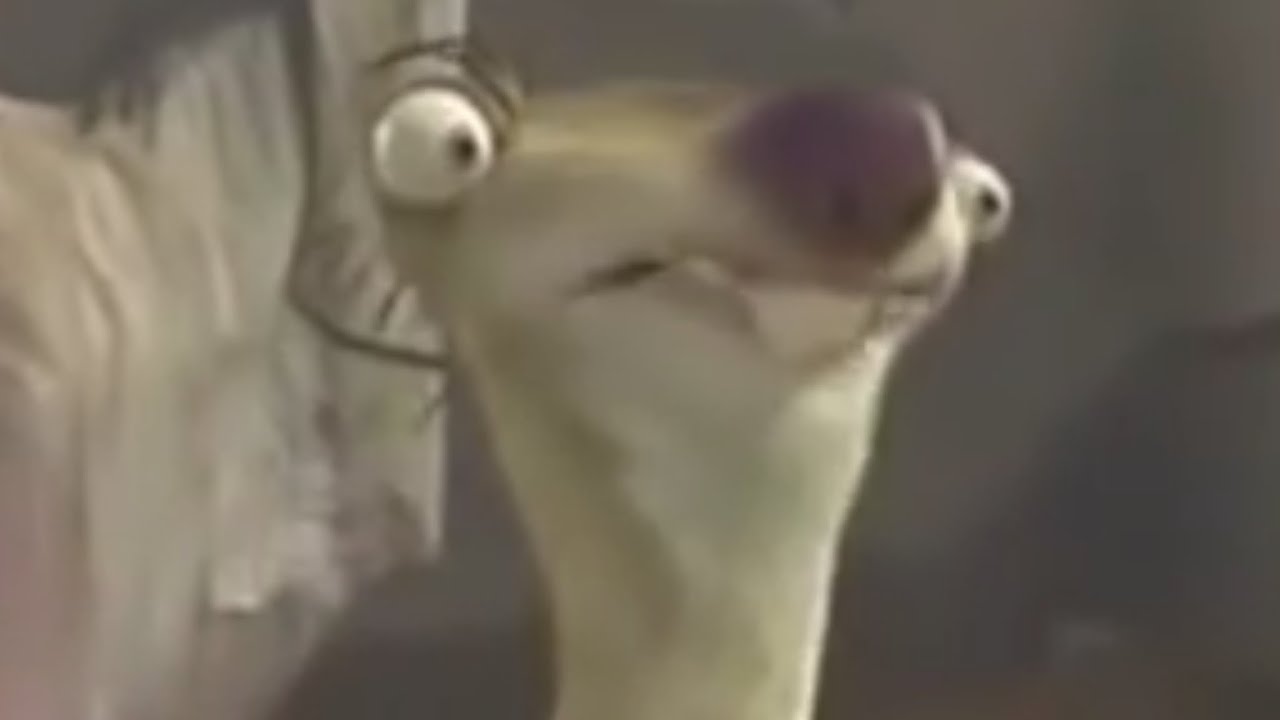 Sid goes to jail for smuggling pine cones. - YouTube