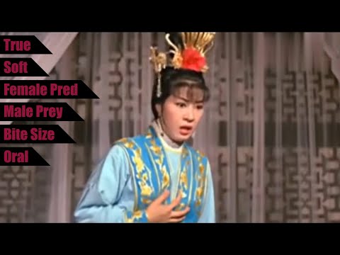 Inside Princess Iron Fan - Journey to the West (Unknown Version)