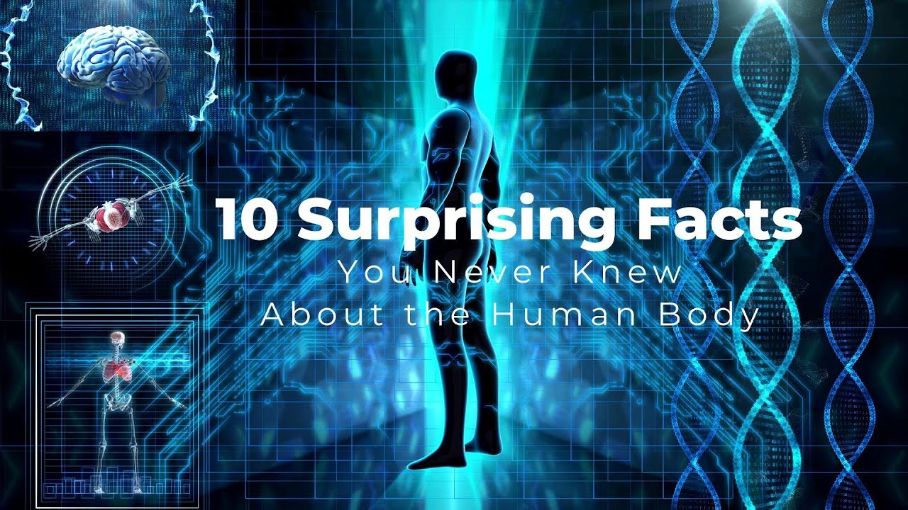 10 Surprising Facts You Never Knew About the Human Body - YouTube