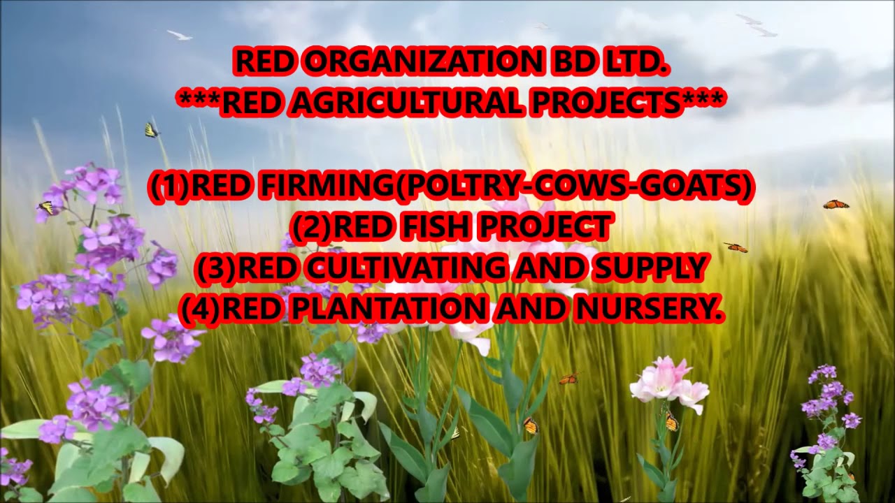 RED ORGANIZATION - YouTube