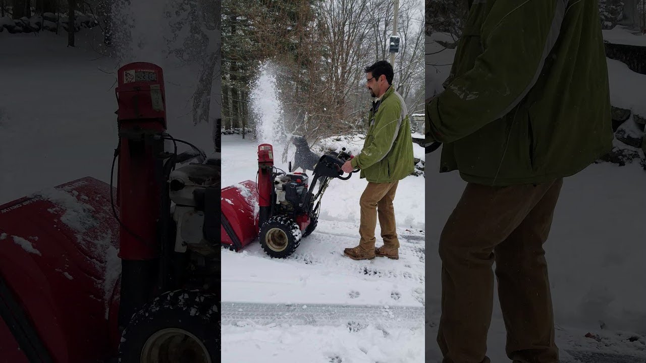 Silly Pup Plays with Snow Blower || ViralHog - YouTube